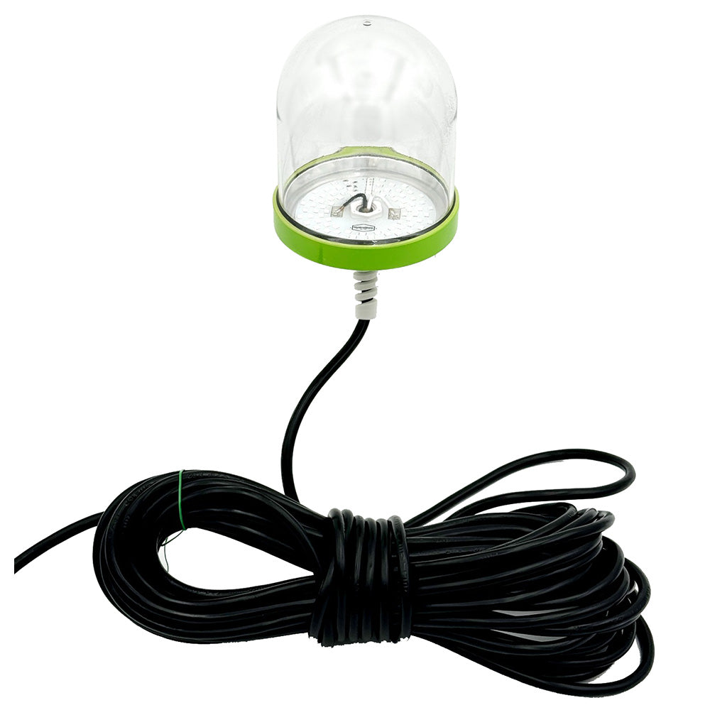 Hydro Glow SF100B 100W120VAC Underwater Dock Light Blue Anchored To ...
